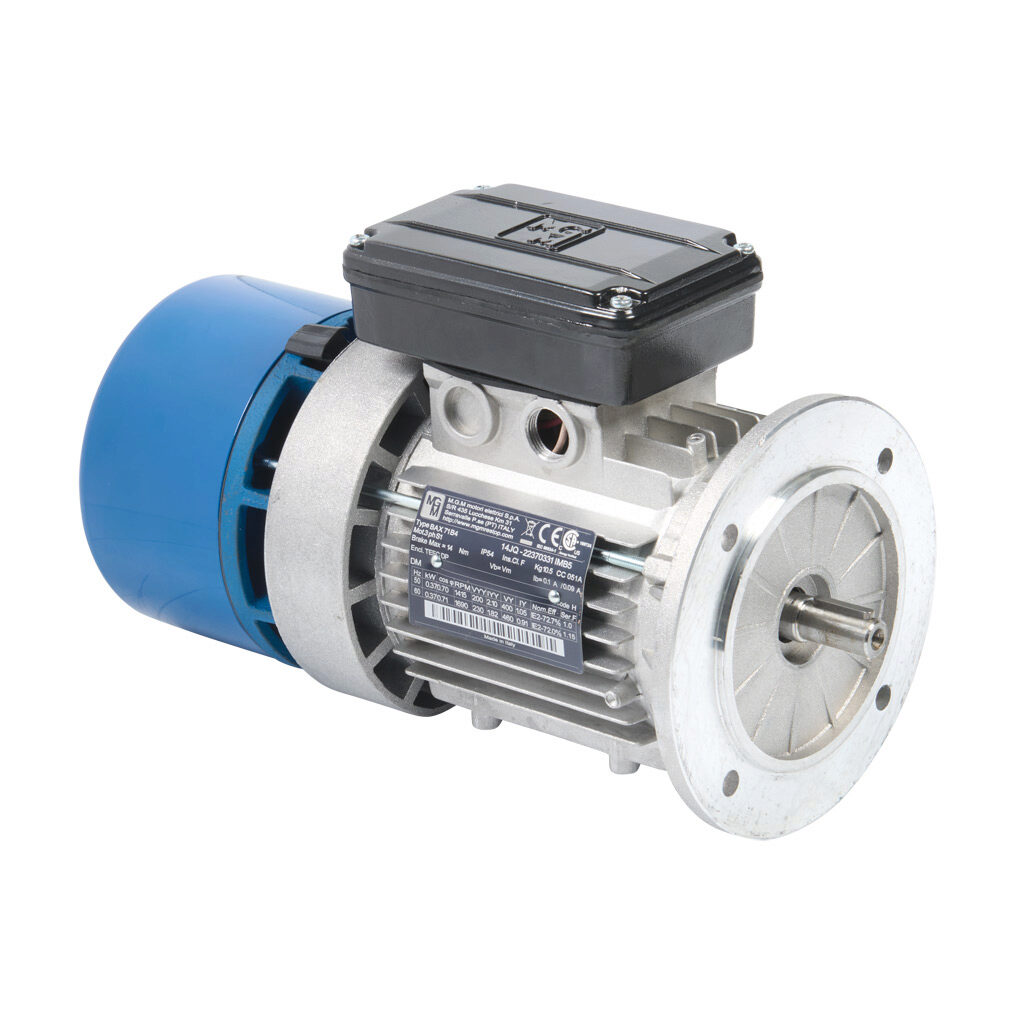 IE2 High Efficiency AC Motor: general purpose, inverter rated and brake ...