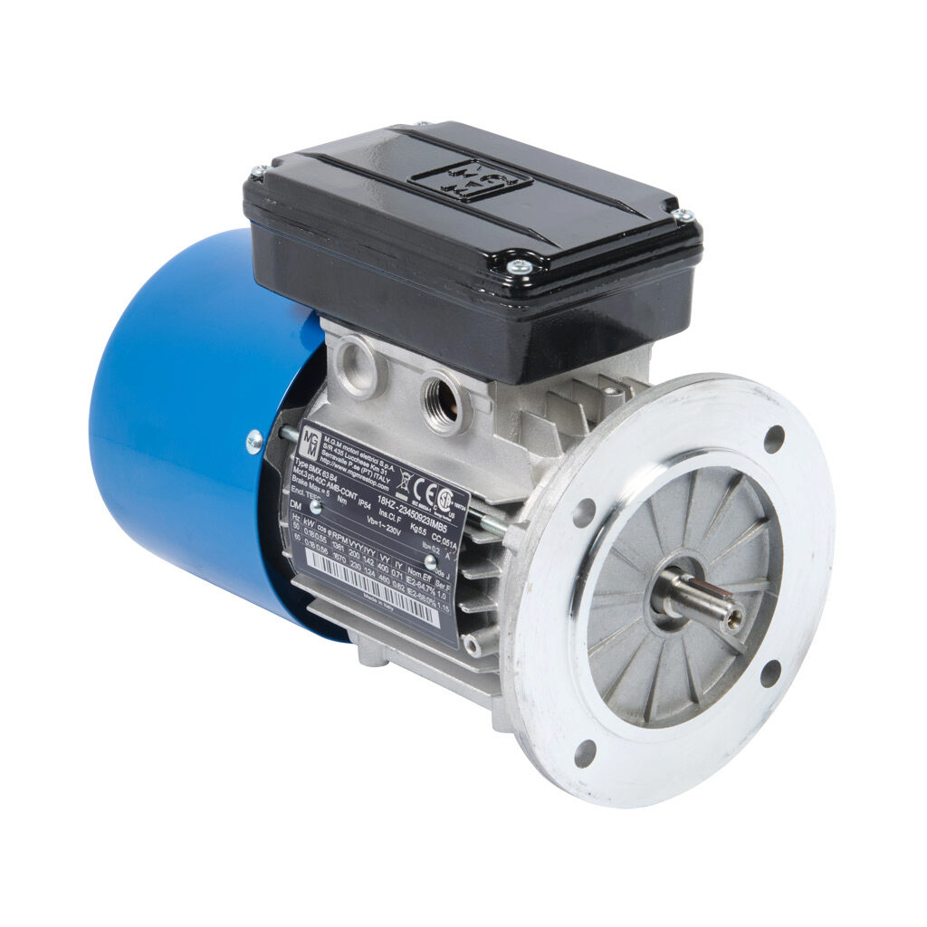 IE2 High Efficiency AC Motor: general purpose, inverter rated and brake ...