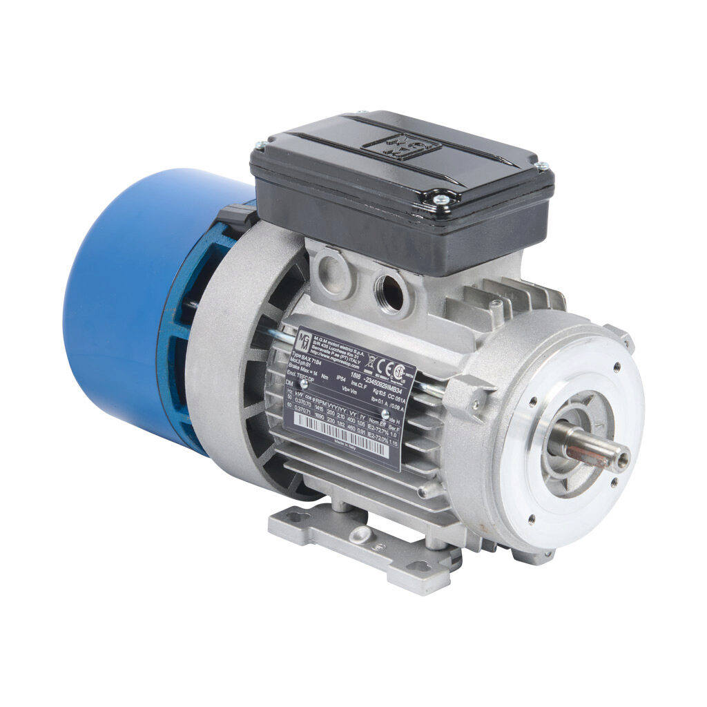 IE2 High Efficiency AC Motor: general purpose, inverter rated and brake ...