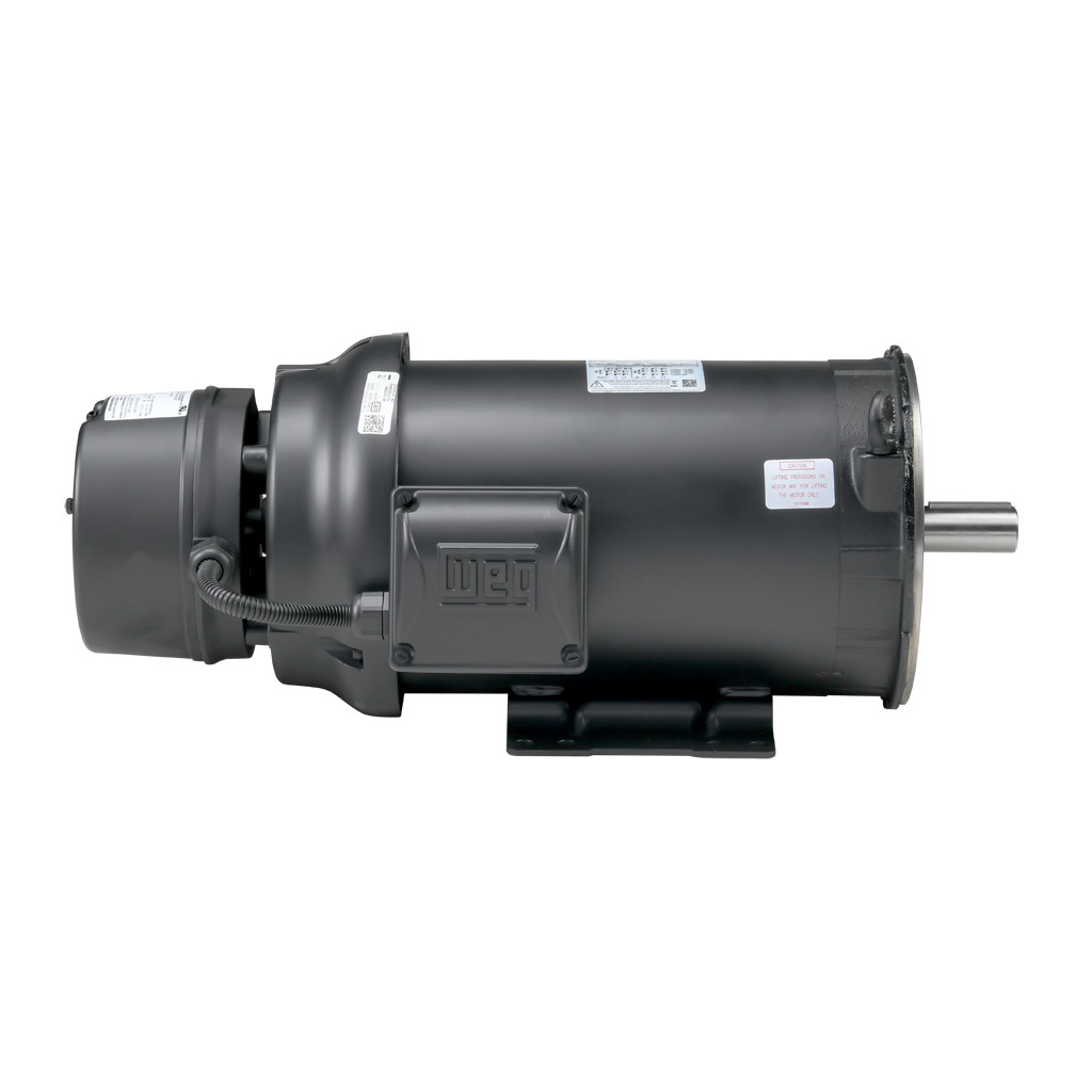 Premium Efficiency AC Motor: general purpose, inverter rated and brake ...