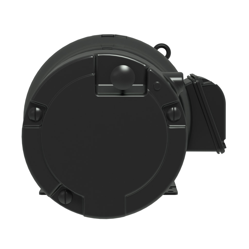 Premium Efficiency AC Motor: general purpose, inverter rated and brake ...