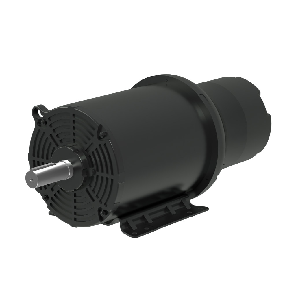 Premium Efficiency AC Motor: general purpose, inverter rated and brake ...