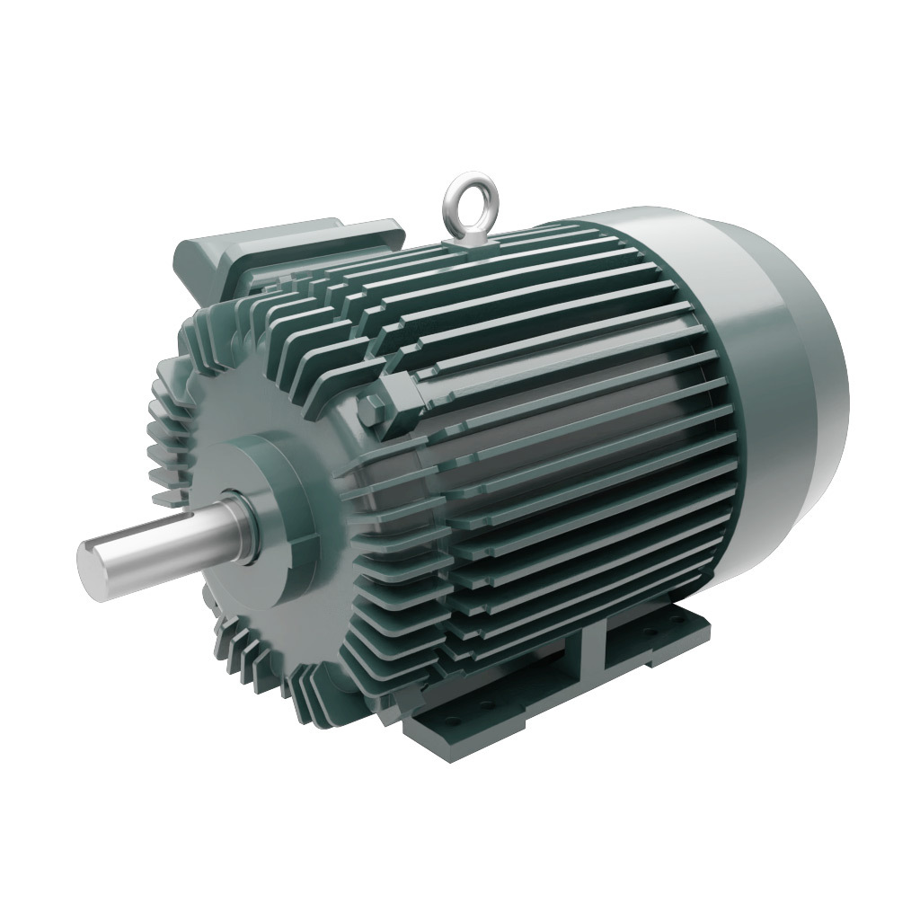 Premium Efficiency AC Motor: high-performance inverter duty and severe ...