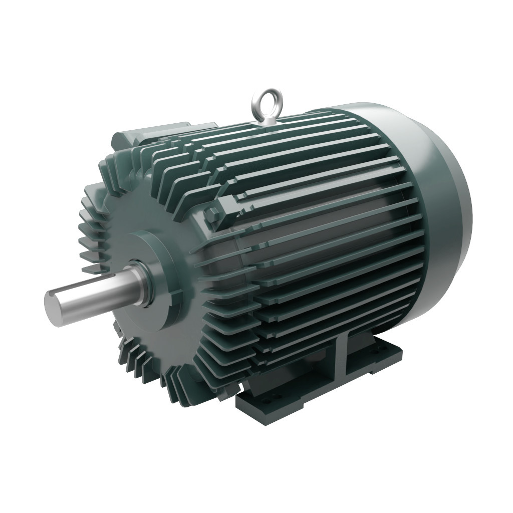 Premium Efficiency AC Motor: high-performance inverter duty and severe ...