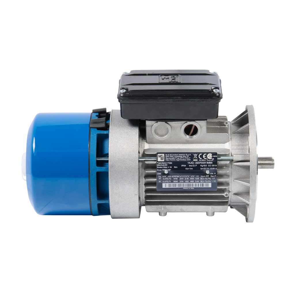 IE2 High Efficiency AC Motor: general purpose, inverter rated and brake ...