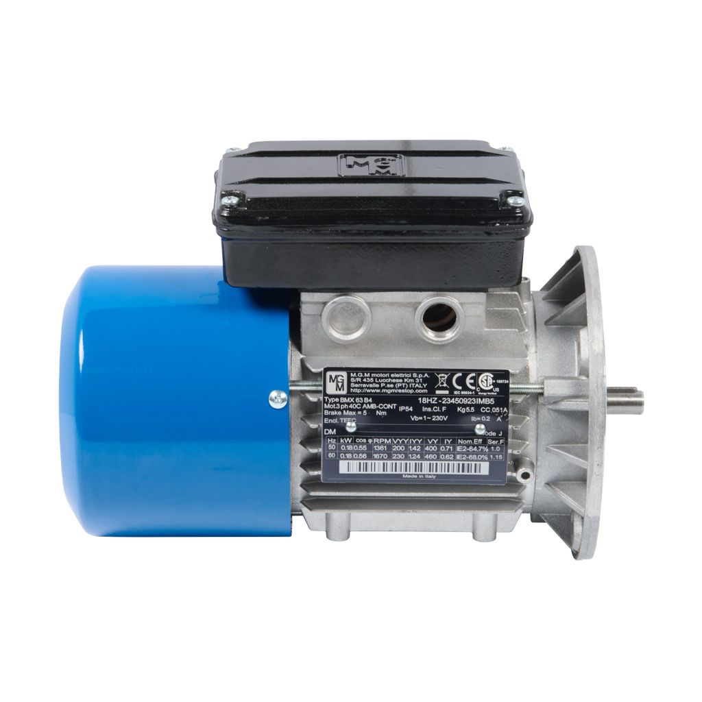 IE2 High Efficiency AC Motor: general purpose, inverter rated and brake ...