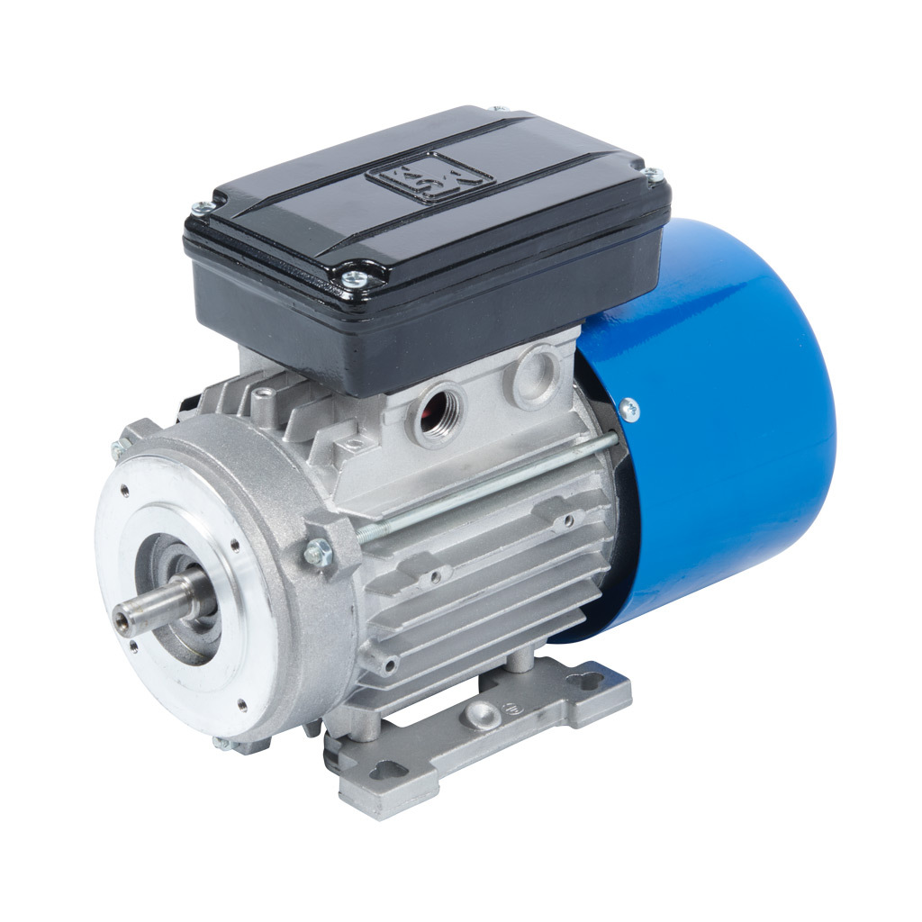 IE2 High Efficiency AC Motor: general purpose, inverter rated and brake ...