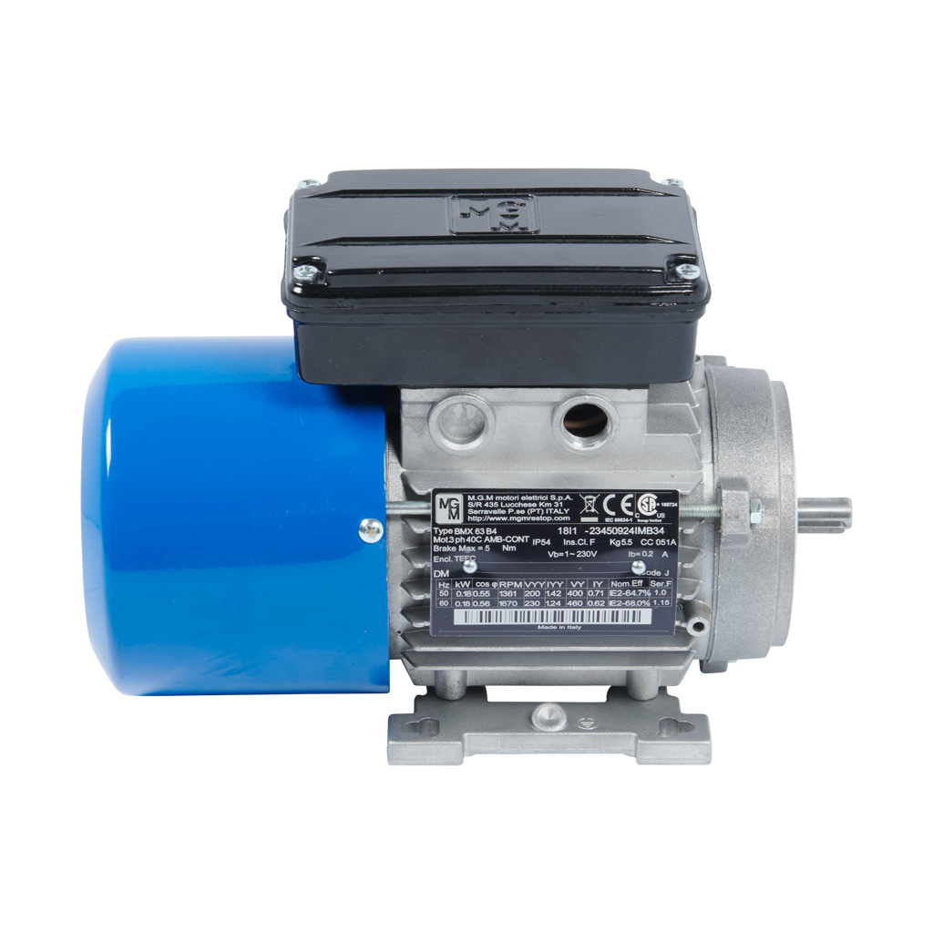 IE2 High Efficiency AC Motor: general purpose, inverter rated and brake ...