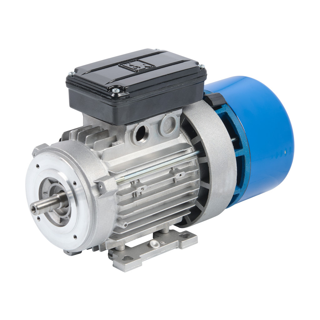 IE2 High Efficiency AC Motor: general purpose, inverter rated and brake ...