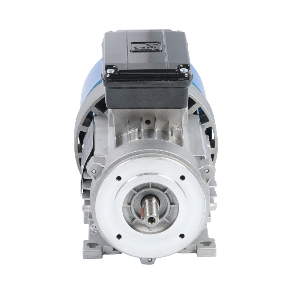 IE2 High Efficiency AC Motor: general purpose, inverter rated and brake ...