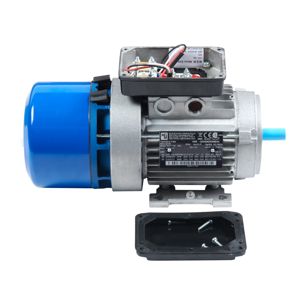 IE2 High Efficiency AC Motor: general purpose, inverter rated and brake ...