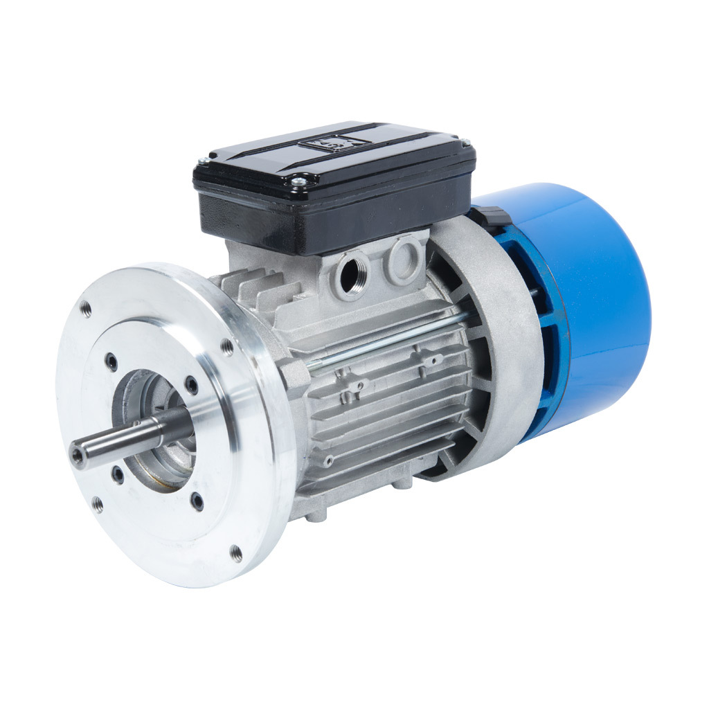 IE2 High Efficiency AC Motor: general purpose, inverter rated and brake ...