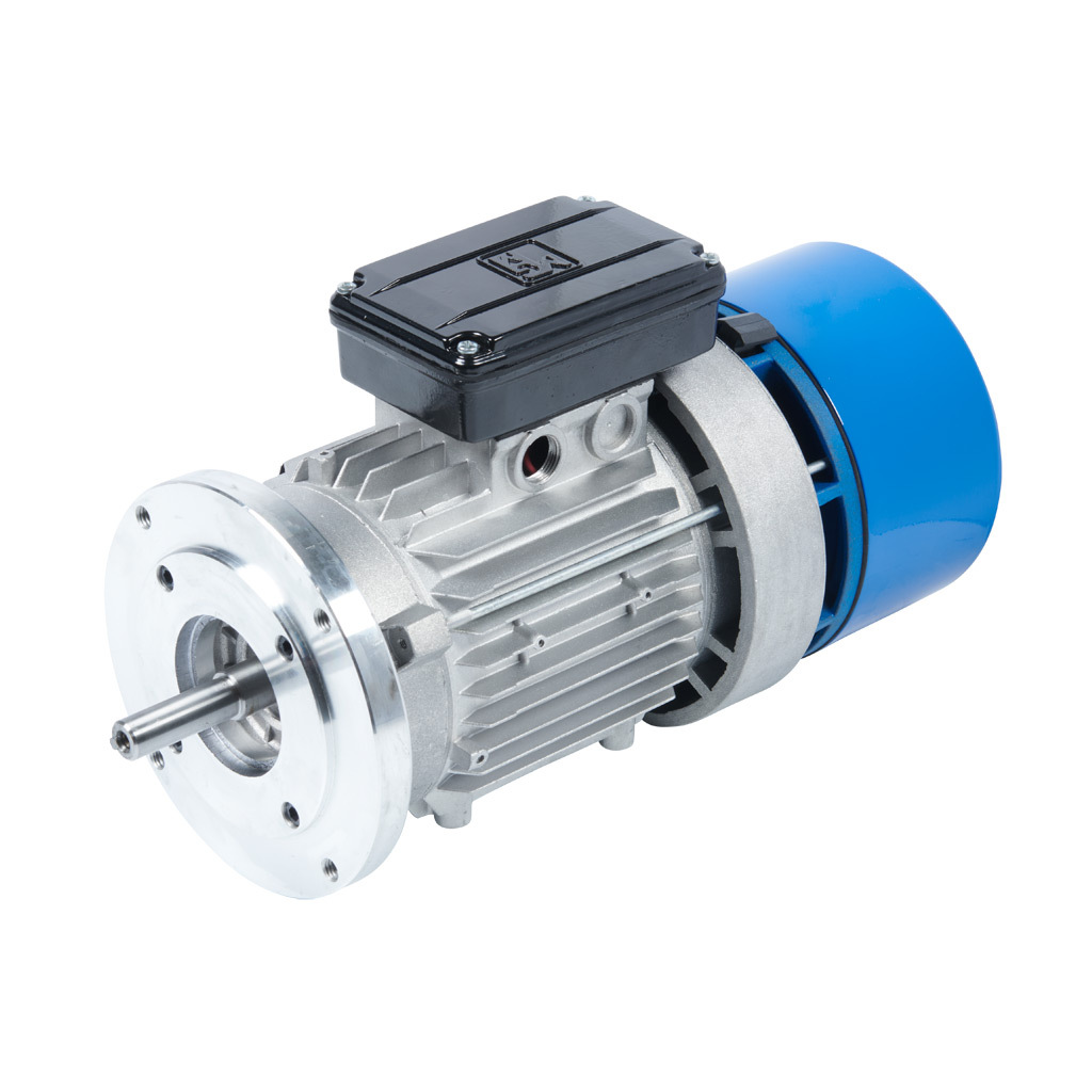 IE3 Premium Efficiency AC Motor: general purpose, inverter rated and ...