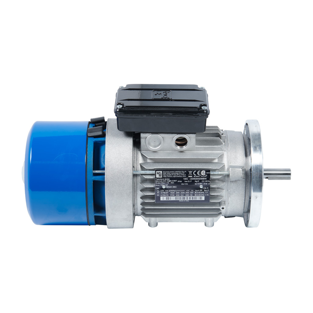 IE3 Premium Efficiency AC Motor: general purpose, inverter rated and ...