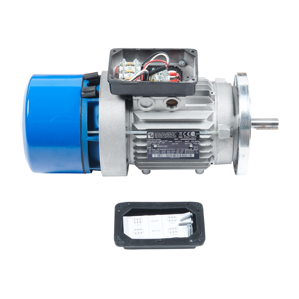 IE3 Premium Efficiency AC Motor: general purpose, inverter rated and ...