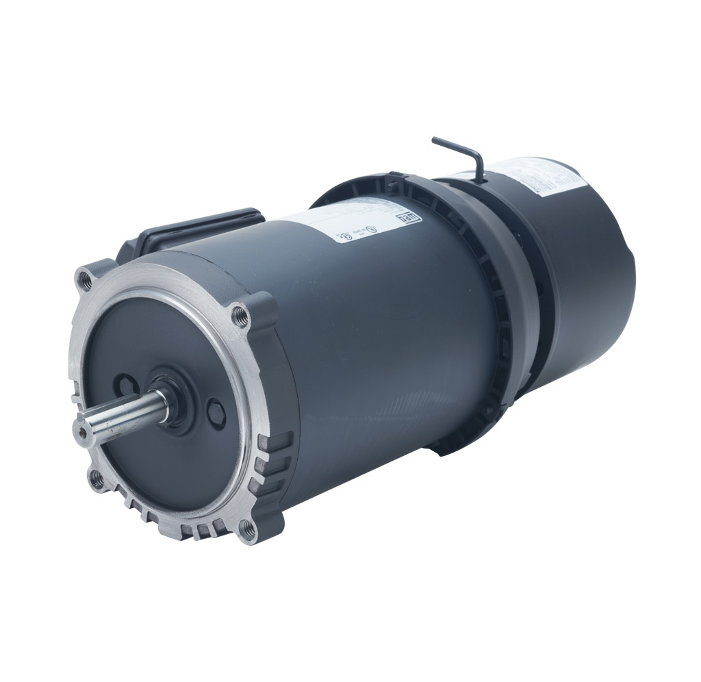 Standard Efficiency AC Motor: general purpose, inverter rated and brake ...