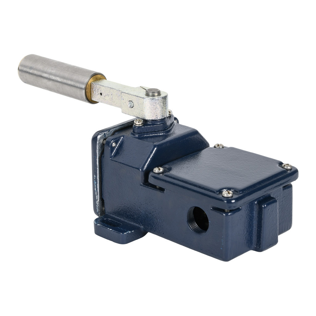 Limit Switch: side rotary lever with metal belt roller (PN# M.250-11Z ...
